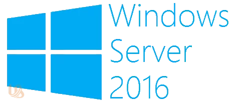 Windows Server® 2016 Client Access License (50 User) от поставщика год